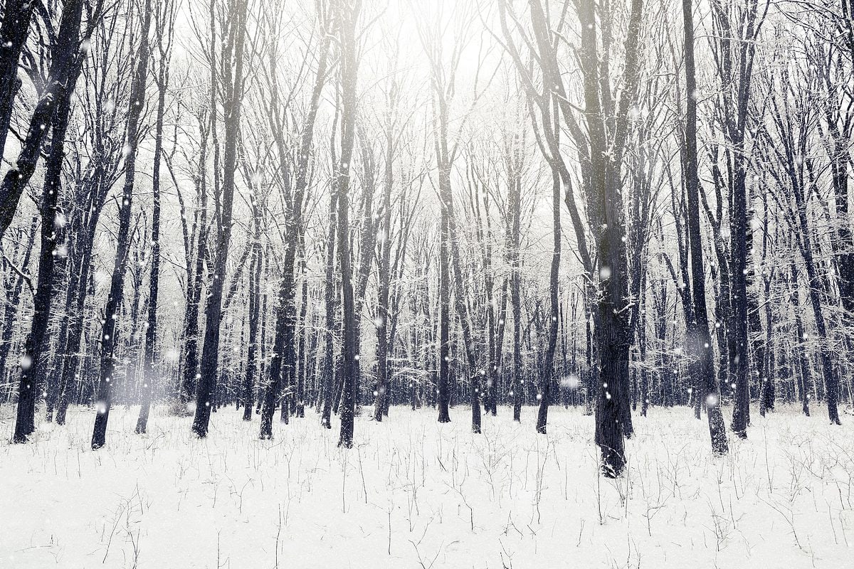 Anna Daily at Patron Hunt — Discover Your Next Favorite Indie Creator