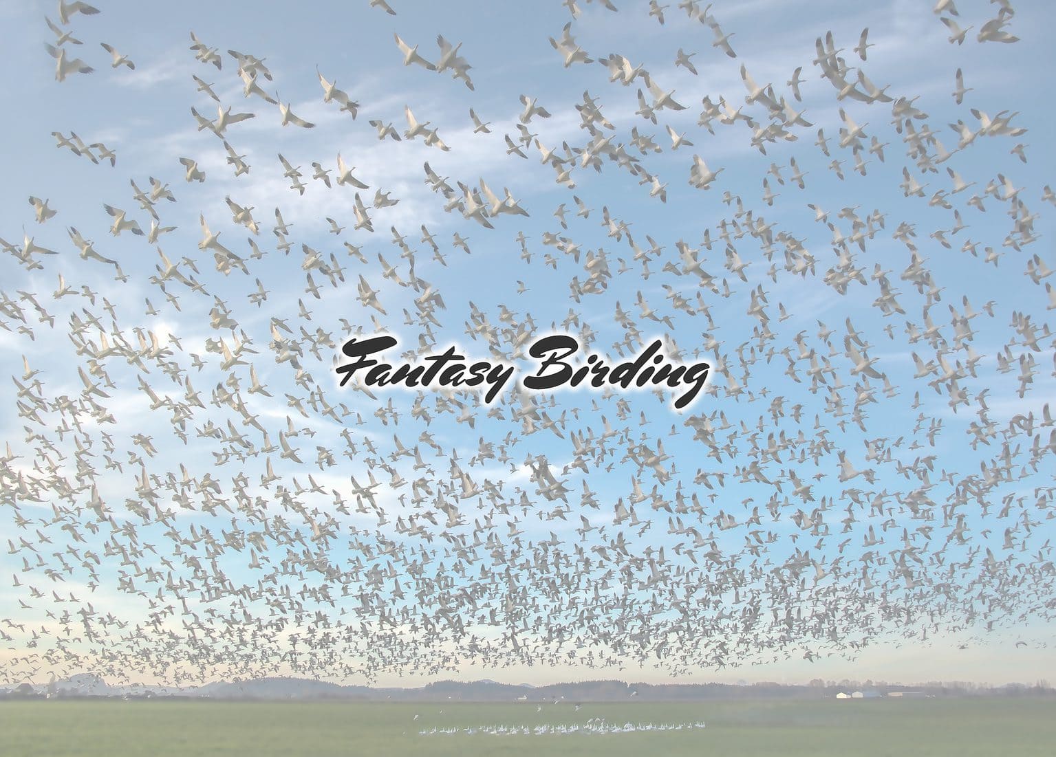 Bondage Projects at Patron Hunt — Find Your Next Favorite Indie Creator