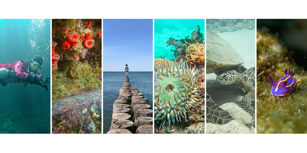 Video – Patron Hunt