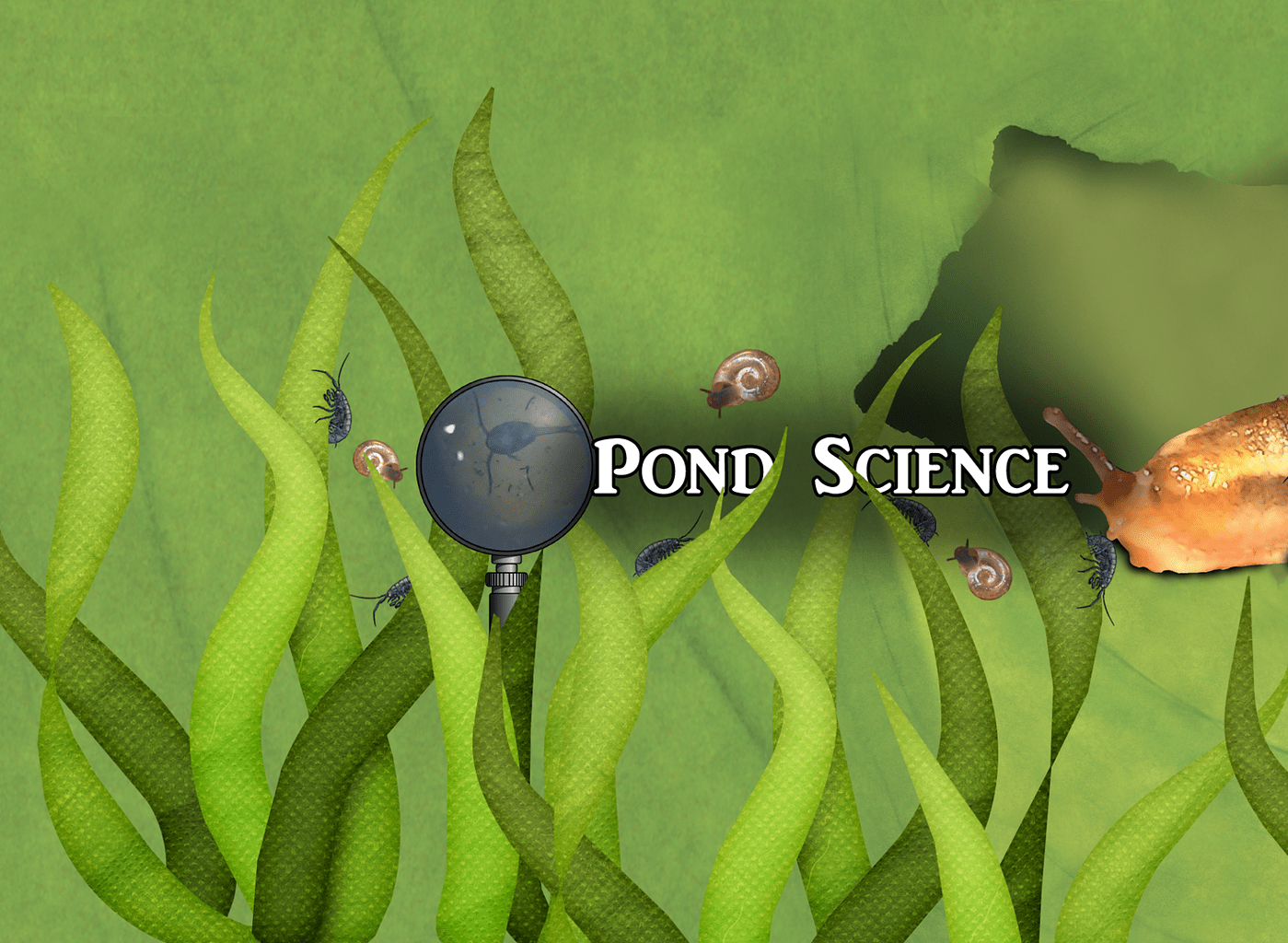 Pond Science at Patron Hunt — Find Your Next Favorite Indie Creator