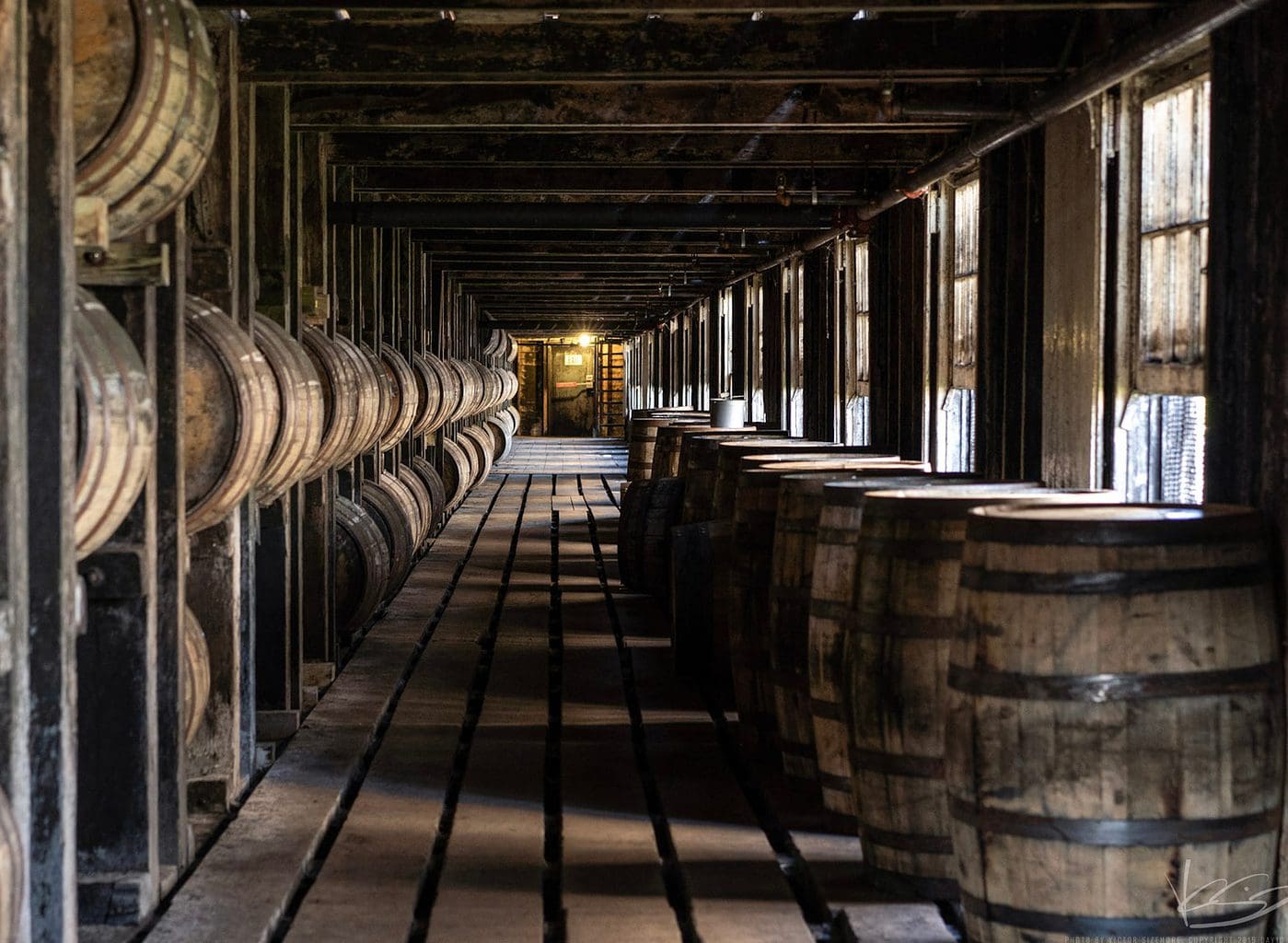 Rare Bird 101 at Patron Hunt — Find Your Next Favorite Indie Creator