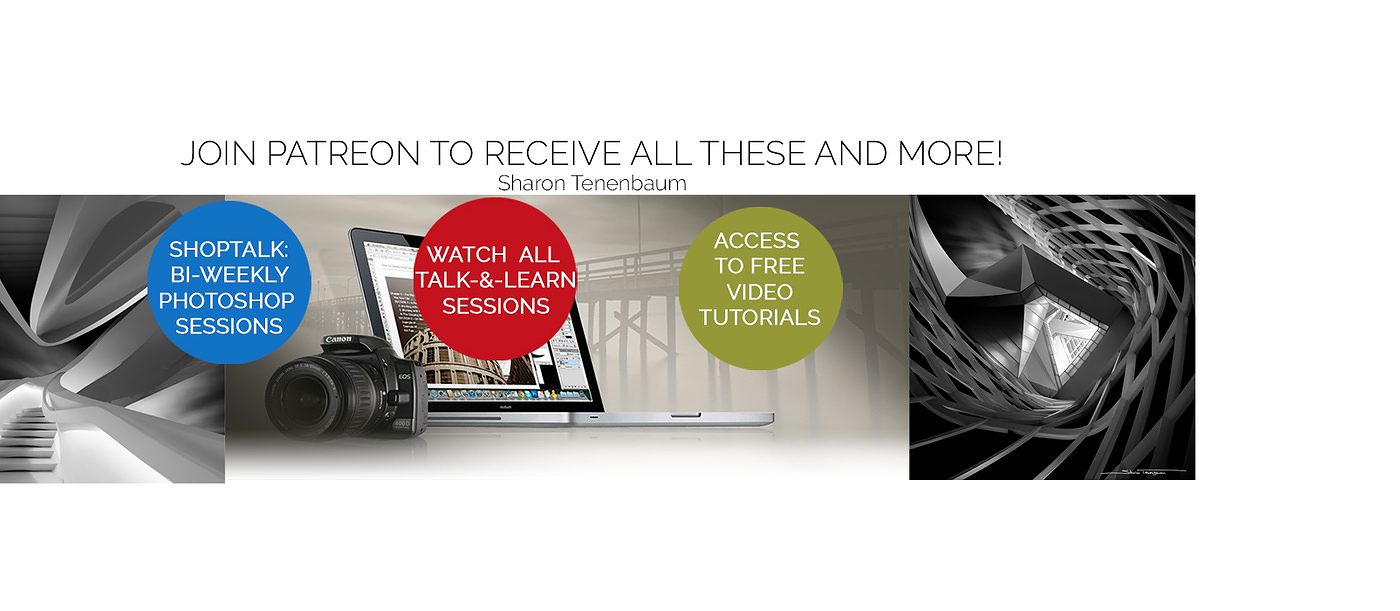 Sharon Tenenbaum Photography at Patron Hunt — Find Your Next Favorite ...