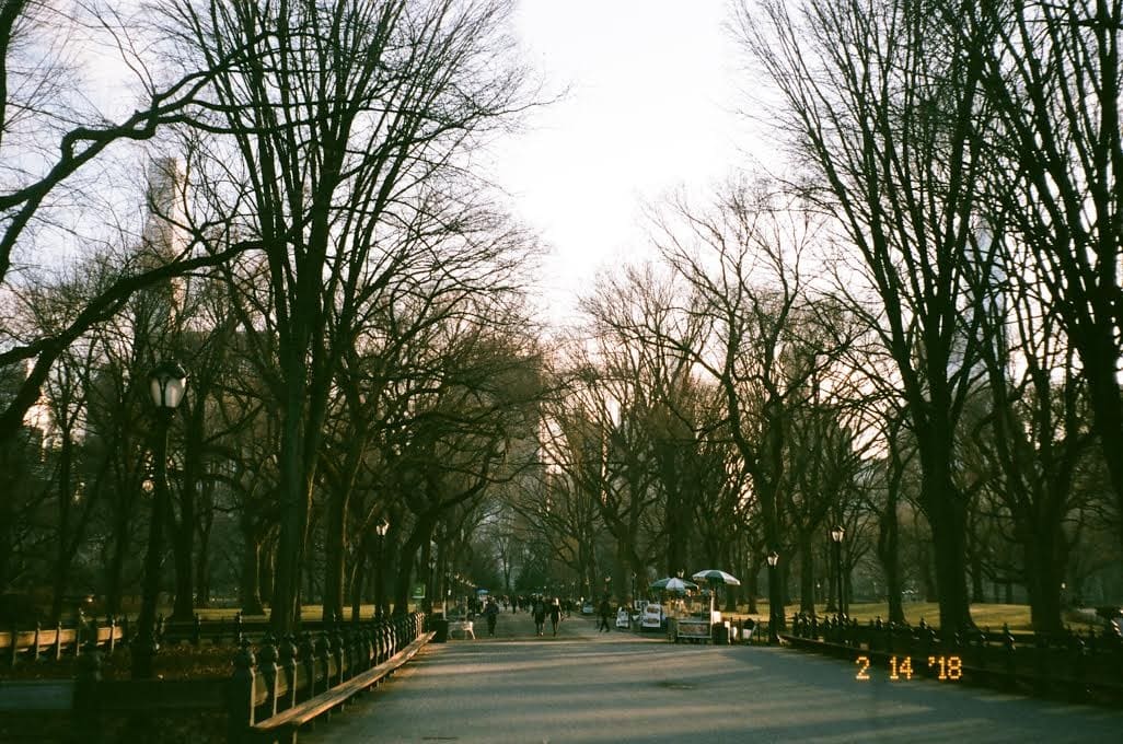 Shea Vassar at Patron Hunt — Find Your Next Favorite Indie Creator