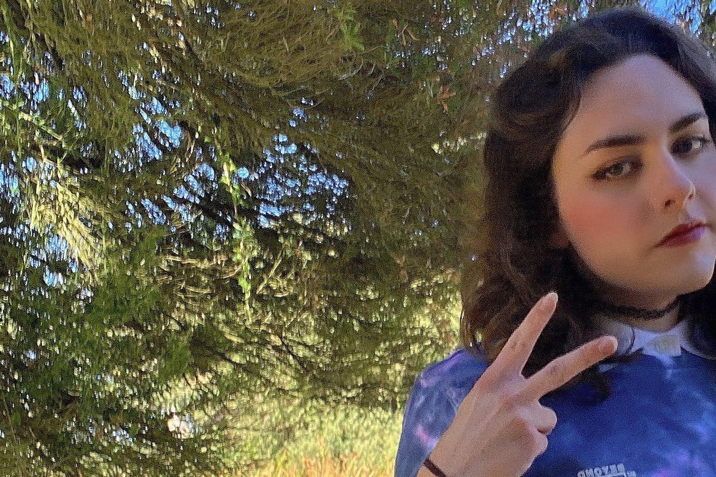 WhiteWren at Patron Hunt — Find Your Next Favorite Indie Creator